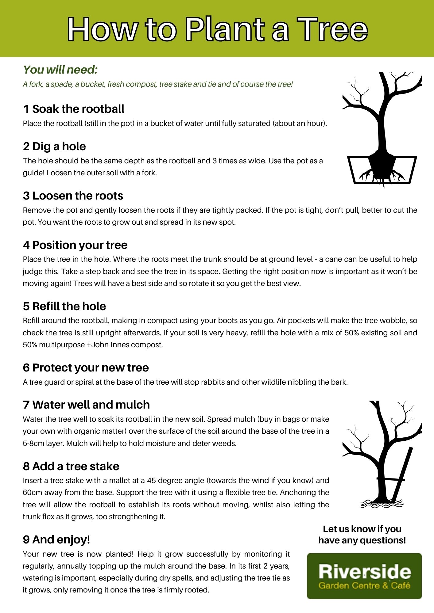Choosing An Planting A Tree